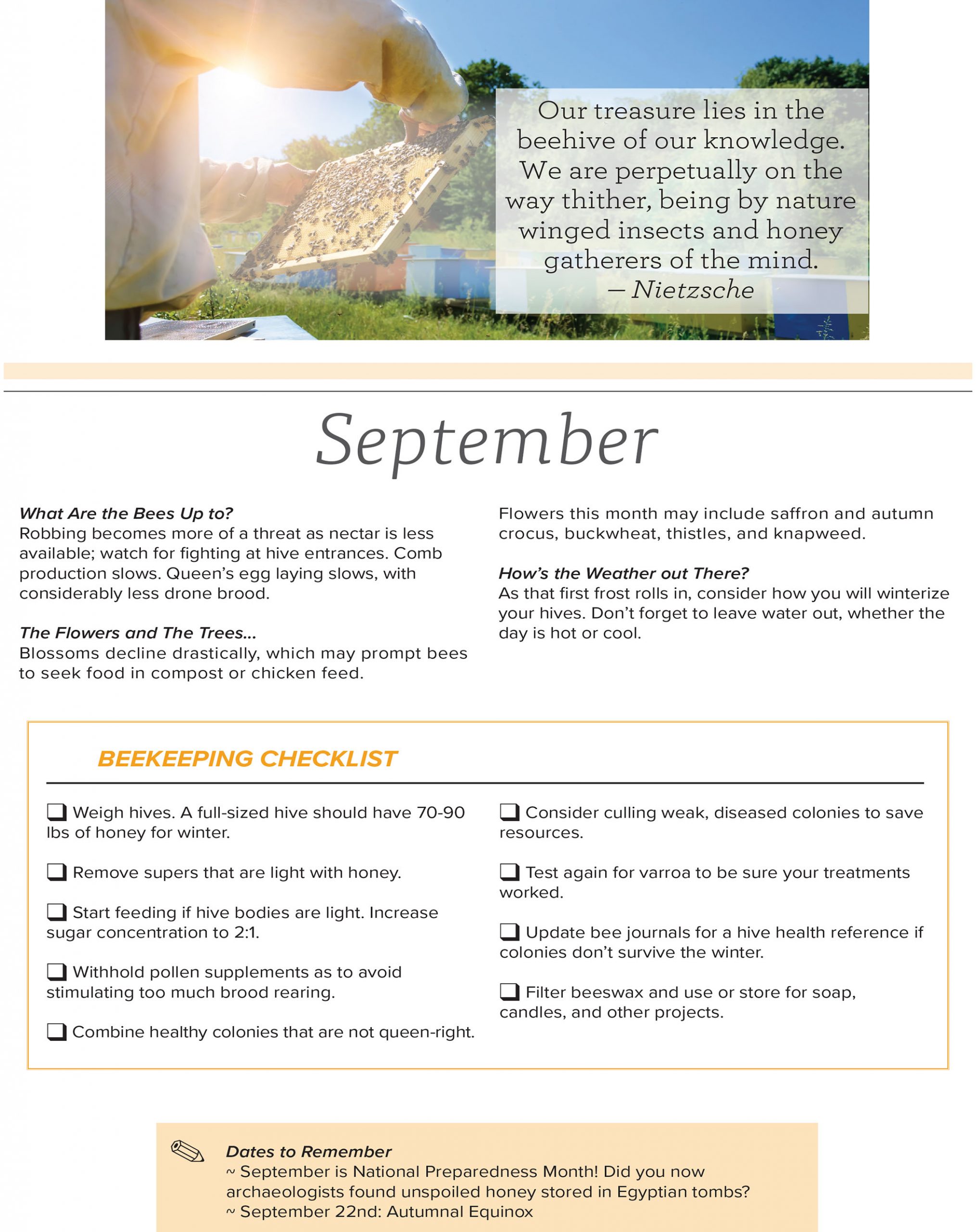 Beekeeping Calendar August/September - Backyard Beekeeping